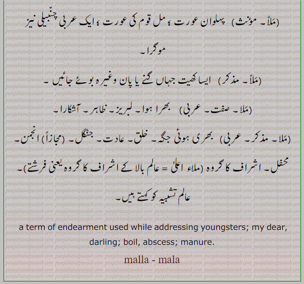  malla mala abscess Darling Meaning In Urdu meaning 