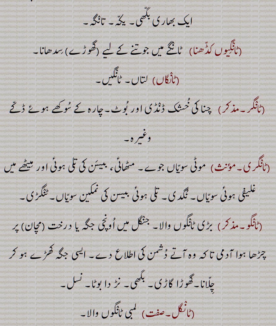 ٹانگ ,taang,ਟਾਂਗ, meaning in Urdu,shahmukhi to urdu, English,